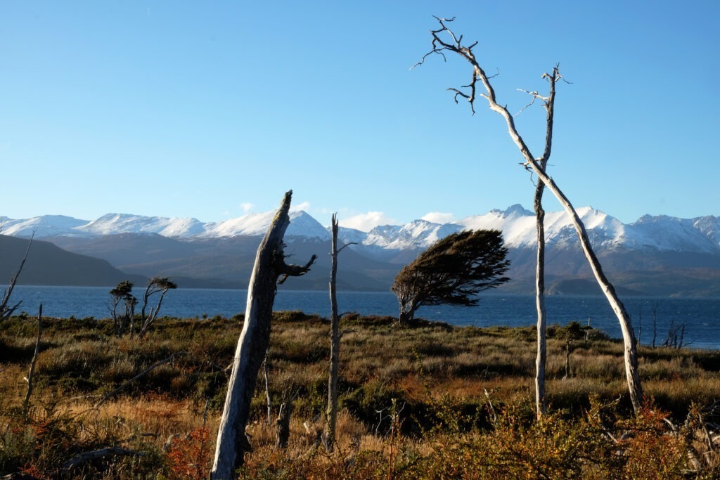 Patagonian channels and Cape Horn: embark with Karukinka!